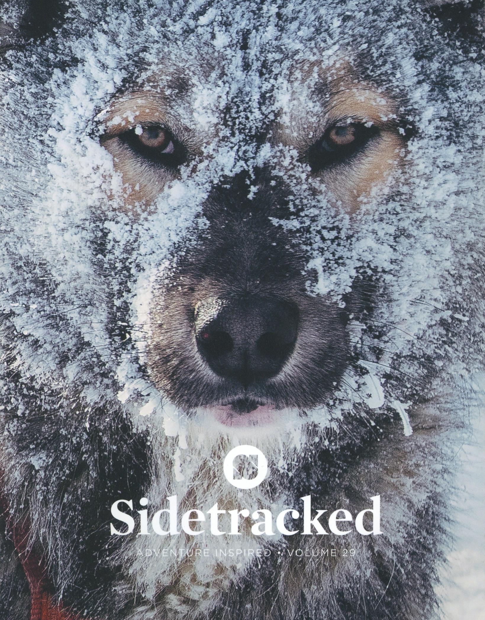 Sidetracked - Interpress